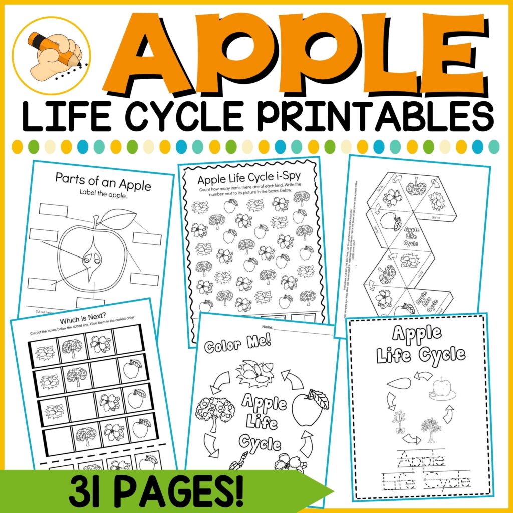 Apple Life Cycle Printable – Homeschool Preschool Shop