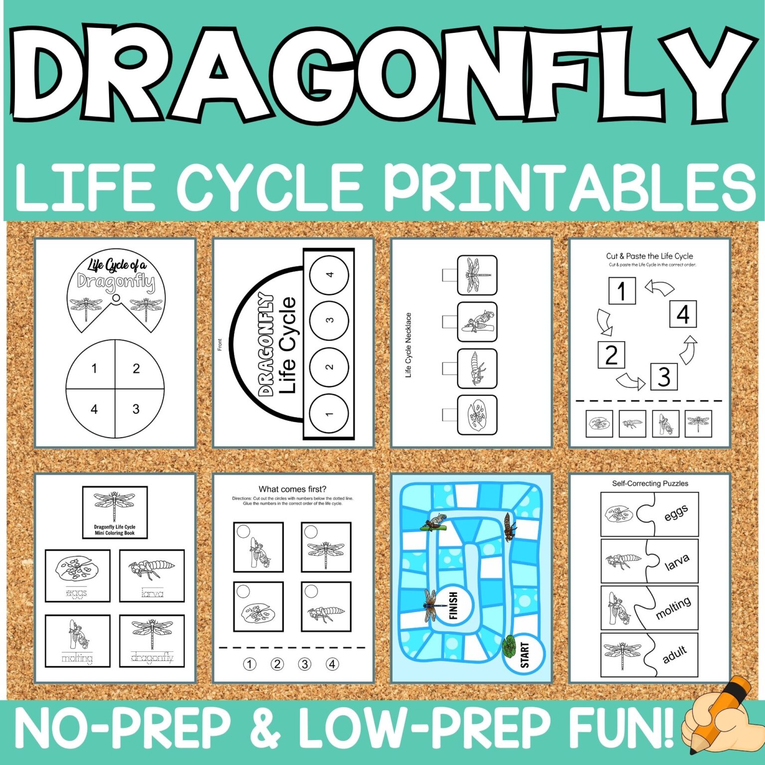 Dragonfly Life Cycle for Kids – Homeschool Preschool Shop