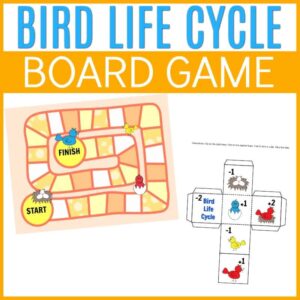 Life Cycle of a Bird for Kids – Homeschool Preschool Shop