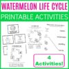 Life Cycle of a Watermelon – Homeschool Preschool Shop