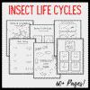 Life Cycle of Insects for Preschool – Homeschool Preschool Shop