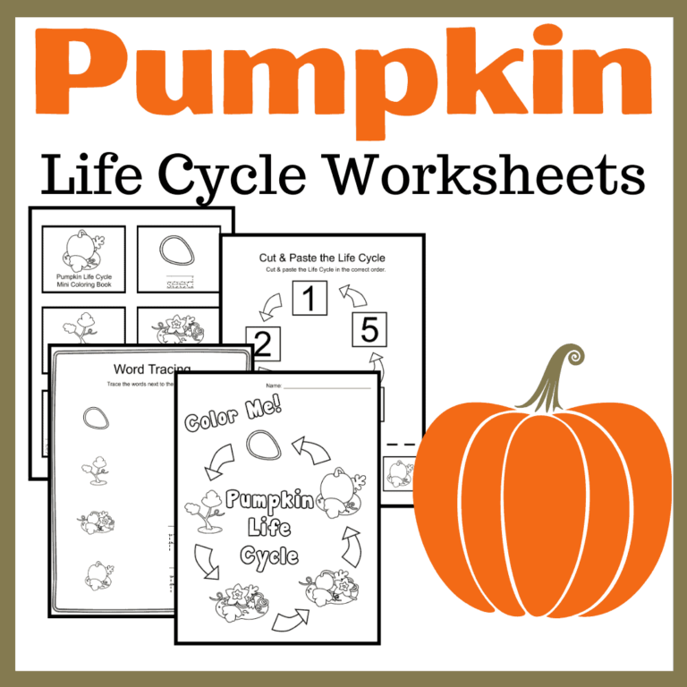 Pumpkin Life Cycle Activities – Homeschool Preschool Shop