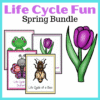 Spring Life Cycle Worksheets – Homeschool Preschool Shop