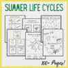 Summer Life Cycle Worksheets – Homeschool Preschool Shop