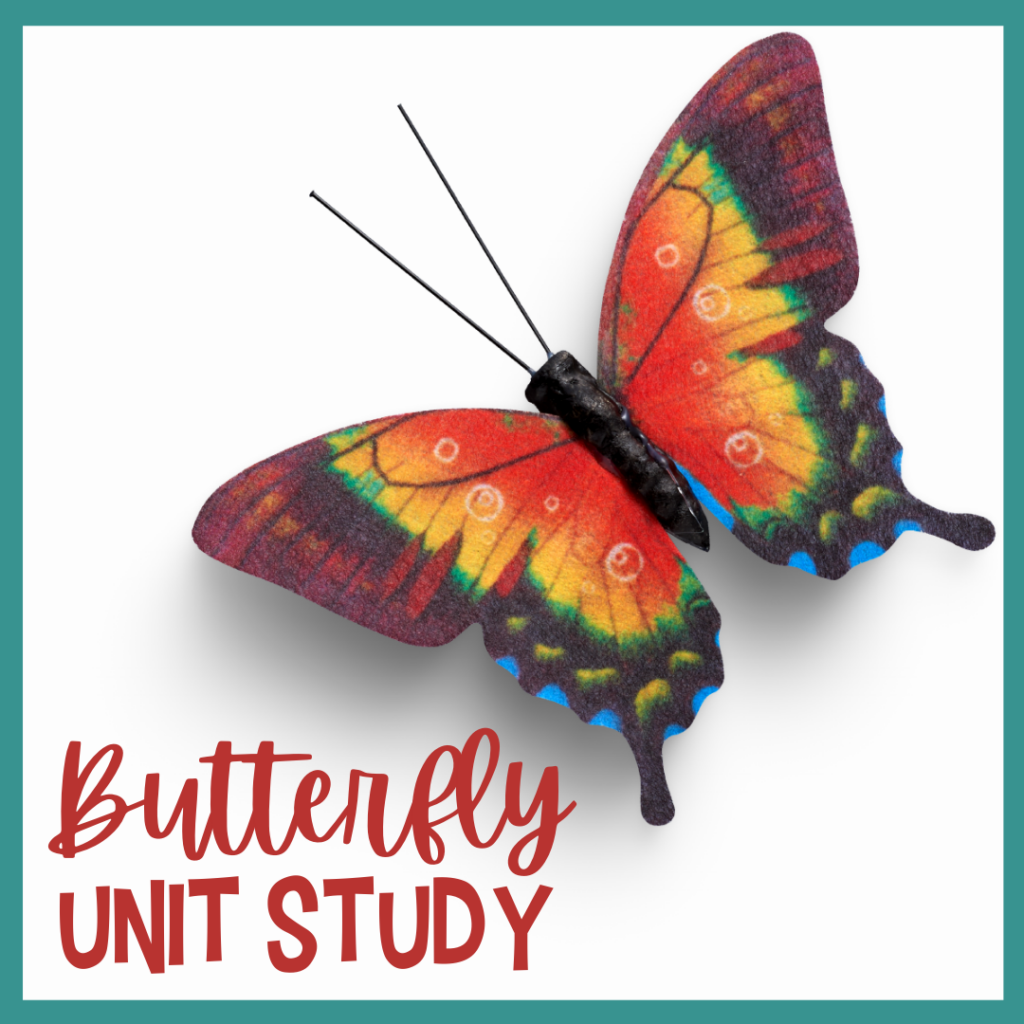 Butterfly Unit Study – Homeschool Preschool Shop