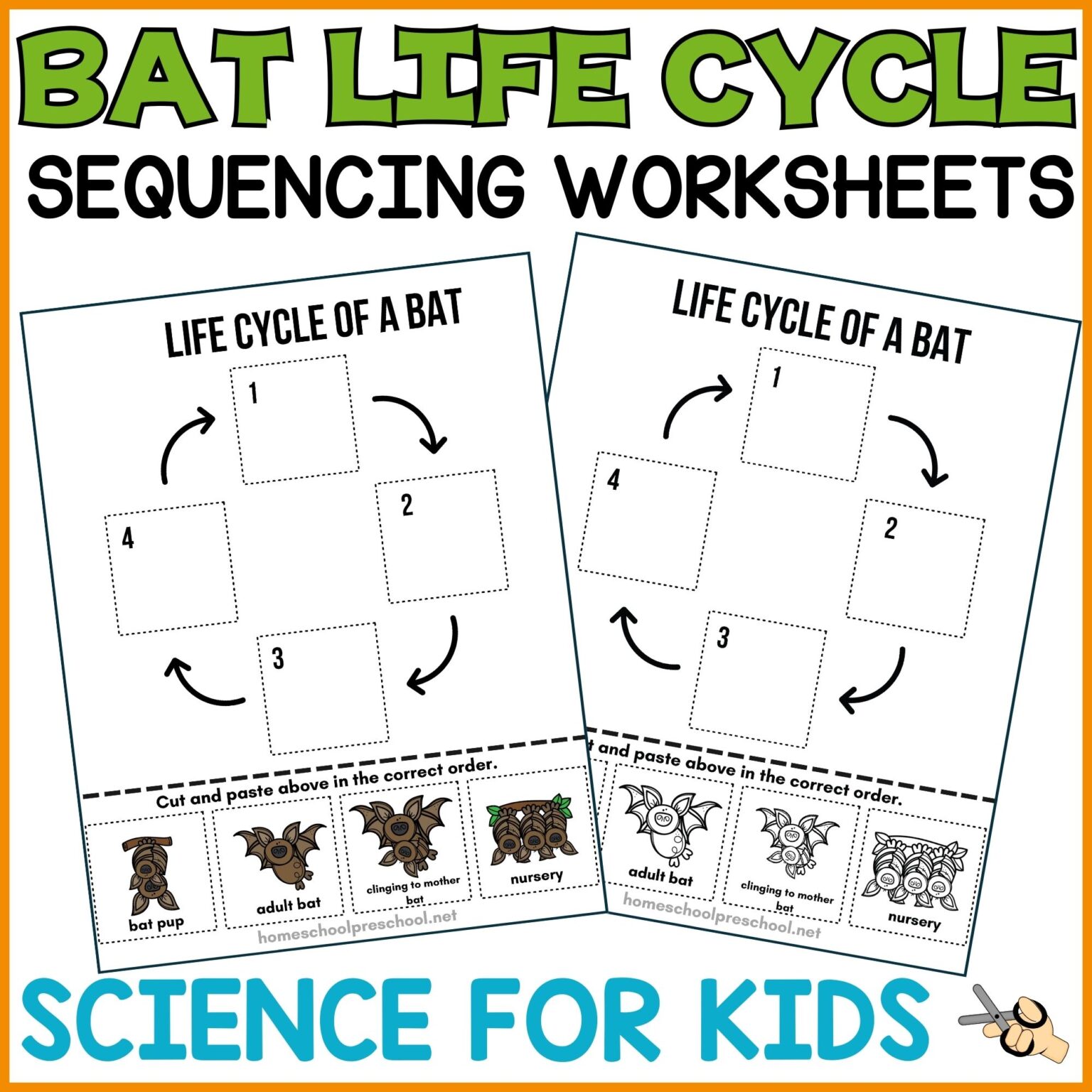 Life Cycle of a Bat Worksheet – Homeschool Preschool Shop
